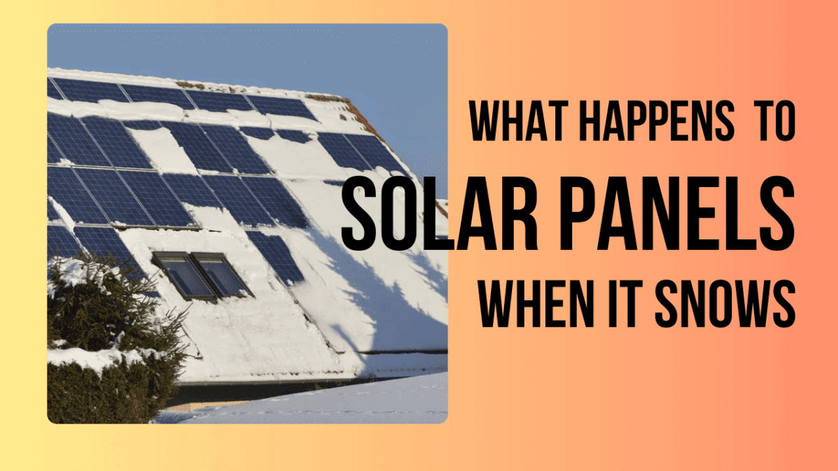 Solar Panels Not Working? Find Out Why & How to Fix Them
